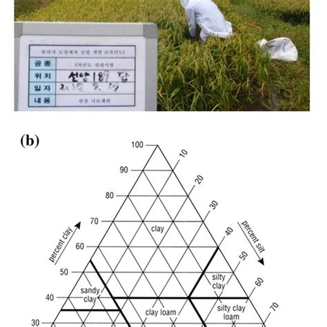 Contaminated paddy soil collection a and soil texture b (sampled on... | Download Scientific Diagram