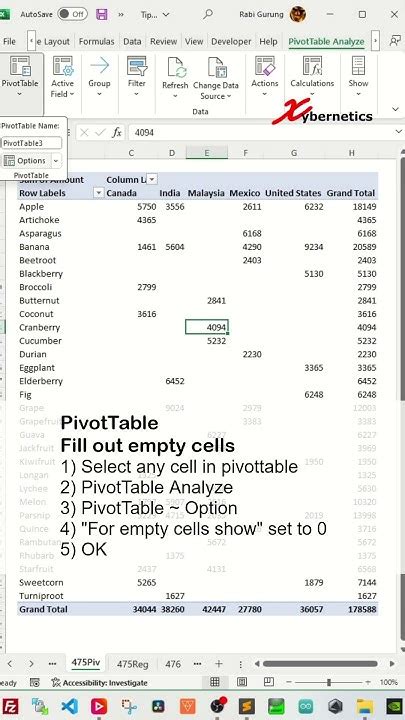 Fill Blank Cells In A Pivottable Excel Tips And Tricks Youtube