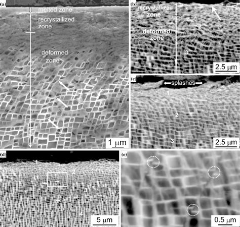 Sem Presenting The Microstructure Of The Surface Layer Formed In Download Scientific Diagram