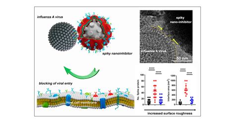 Spiky Nanostructures With Geometry Matching Topography For Virus