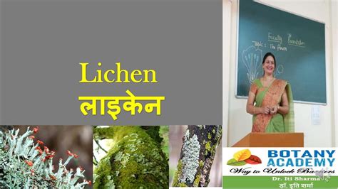 Lichen लाइकेन Part 1 Structure Classification And Reproduction Bsc