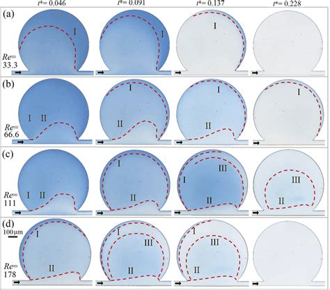 Evolution Of The Dye Flow Patterns In The Microcavity With Wc 600 μm