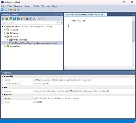 Understanding The Embedded Files In Abp Framework Abpio