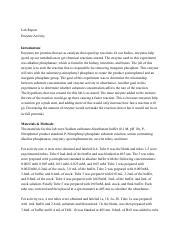 Exploring Enzyme Activity Lab Report Insights Course Hero