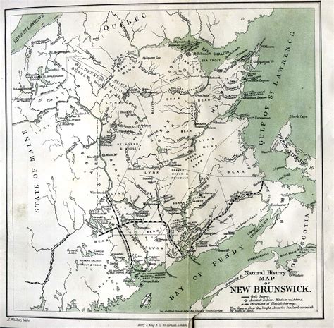Americas Historical Maps Perry Castañeda Map Collection Ut Library