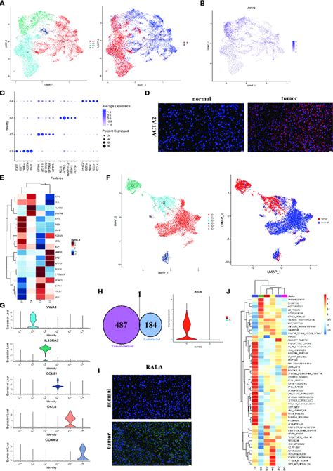 Fibroblasts And Endothelial Cells Demonstrated High Heterogeneity In