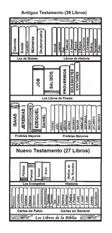 Libros De La Biblia Artofit