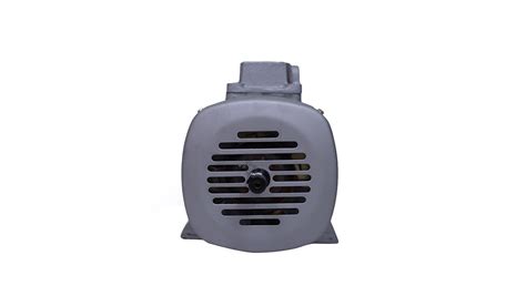 Flameproof Induction Motor