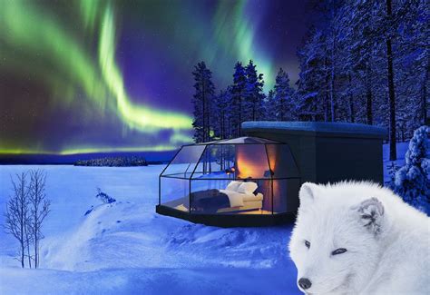 Ranua Resort Arctic Igloos Ranua 2026 Prices Reviews And Deals