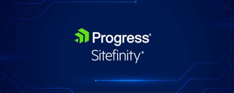 Website Development And Customization Services Web Synergies