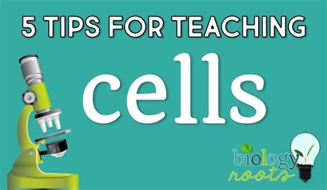 Helpful Tips For Teaching Cells Artofit