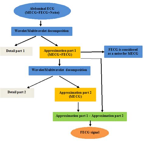 The Multiwavelet Fecg Extraction Principle Download Scientific Diagram
