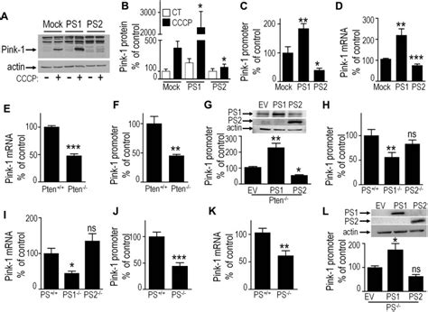 Cccp Player Invalid Region Bettaunited