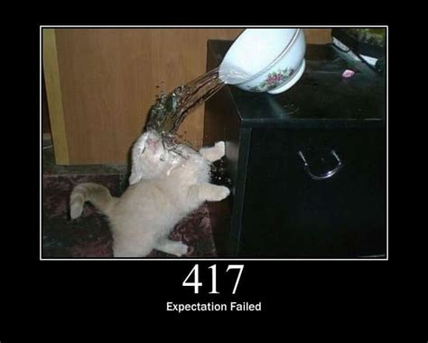 417 Expectation Failed Cats