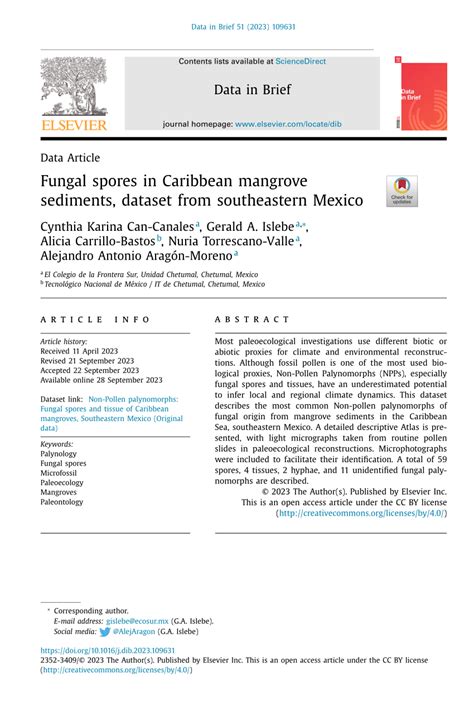 Pdf Fungal Spores In Caribbean Mangrove Sediments Dataset From