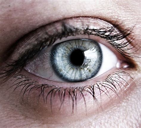 20 Great Close Up Photos Of Eyes Artofit