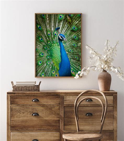 Buy Peacock Poster Here Bgastoreuk
