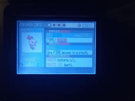 [gen 3] Shiny Torchic R Shinypokemon