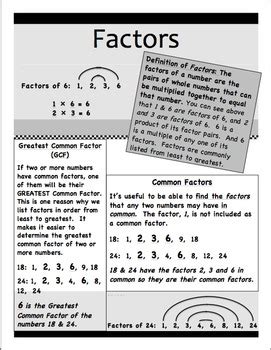 Factors Prime Numbers By Lulu Petunia TPT
