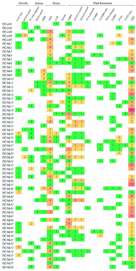 Representatives Of The Major Cis Regulatory Elements Identified From Download Scientific