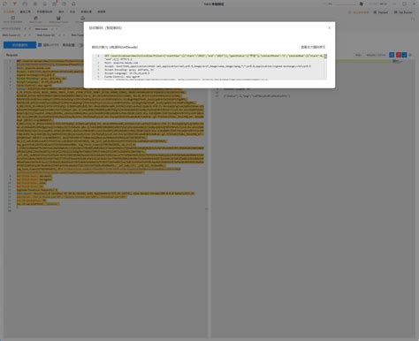 数据包编码 解码 yak program language