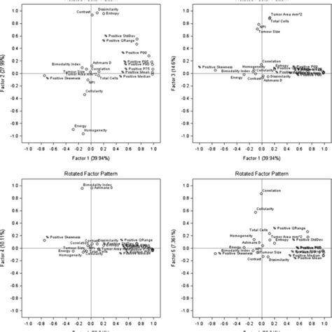Rotated Factor Pattern Of The Comprehensive Ki67 Indicators And