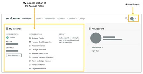 ServiceNow Developers