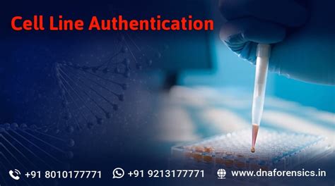 Cell Line Authentication DNA Testing Service In India DNA Forensics Lab