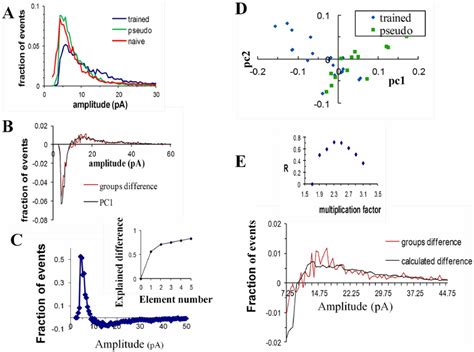 The Learning Induced Modulation Of The Excitatory Unitary Synaptic