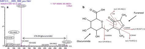 Example Of Structure Elucidation For The Level I Identified Markers A