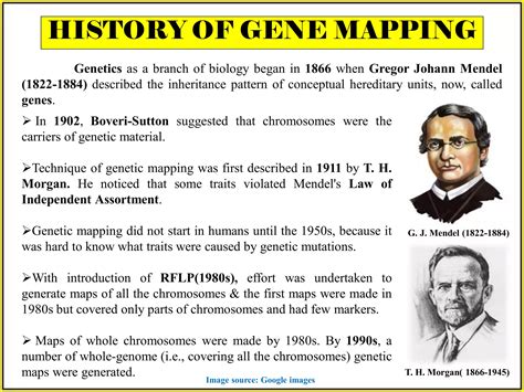 Gene Mapping Methodslinkage Maps And Mapping With Molecular Markers Pdf