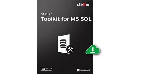 Stellar Toolkit For MS SQL Reviews Details Pricing Features G