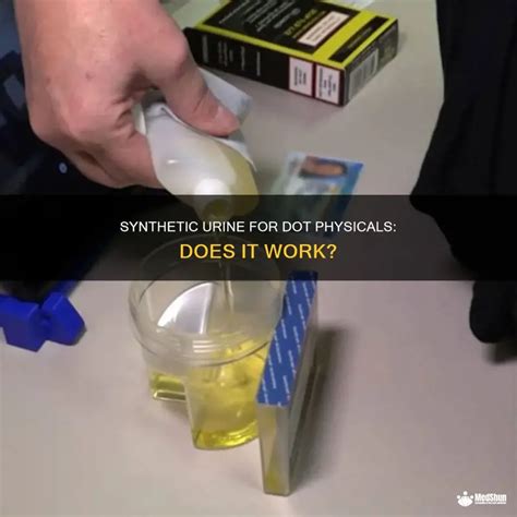 Synthetic Urine For Dot Physicals Does It Work Medshun