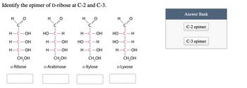 Answered: Identify the epimer of D-ribose at C-2 and C-3. H H H H H -OH HO C-H H -OH HO-C-H H -C ...
