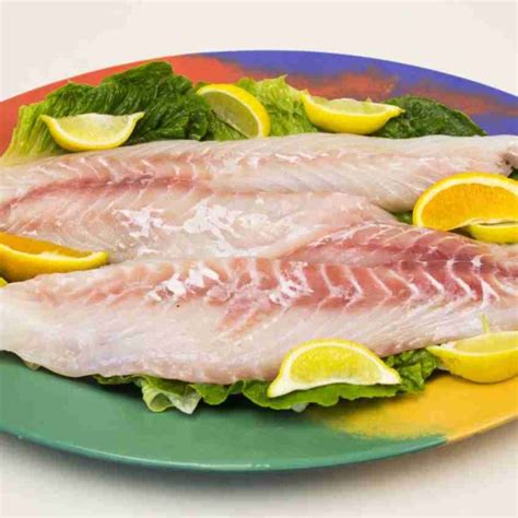 Fresh Grouper Fillet Sold By The Pound