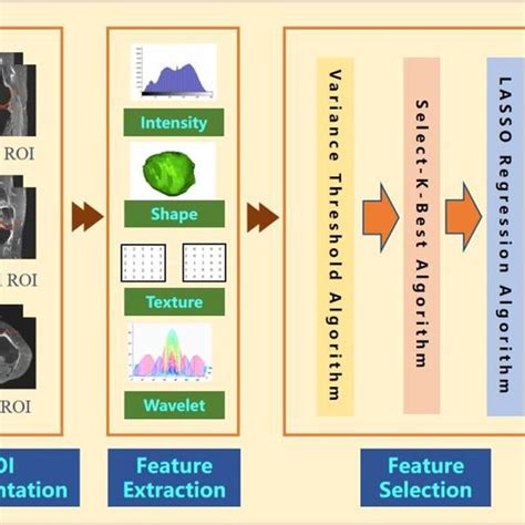 A Flow Chart Presenting Raw Image Preparation Feature Extraction