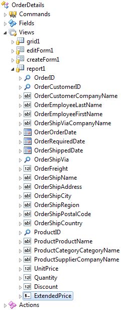 Code On Time Sample Applications Order Form Report Creating A Report Template