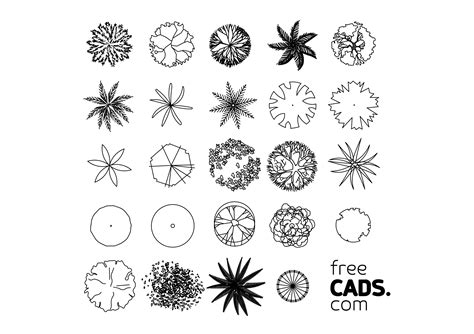 Free Trees Bundle Cad Blocks Dwg Dxf Pdf Format Freecads