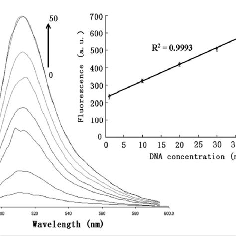Detection Of Target Dna At Different Concentrations The Concentrations Download Scientific