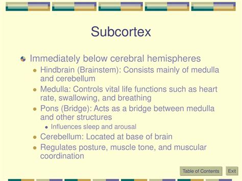 Chapter 2 Brain And Behavior Table Of Contents Exit Ppt Download