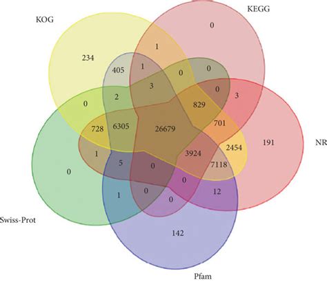 Functional Annotation Of The Protein Coding Transcripts Of B Tricuspis