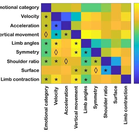 Correlation Between Representational Dissimilarity Matrices Of The