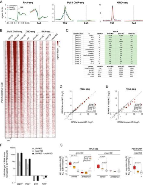 Related To Figure 3 A Metagene Profiles Of Normalized Open I