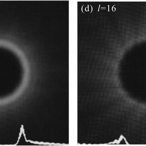 Simulated Intensity Distribution Of Vortices Of Topological Charges 4 Download Scientific