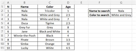 How To Use The Xlookup Excel Function With Multiple Criteria Datacamp