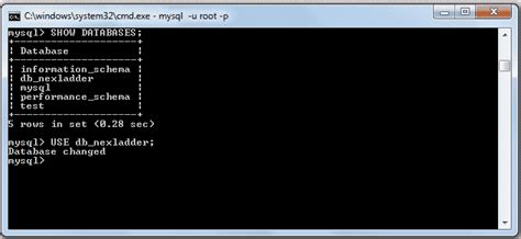 Online Web Development Tutorials Nexladder