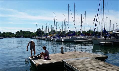 Outdoor Illinois Journal Appreciating Crayfish In Illinois