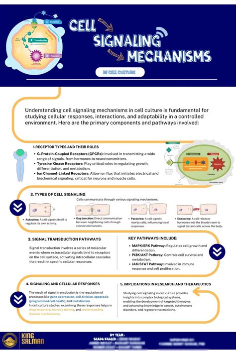 Shada Khaled On Linkedin Cellsignaling Scientificposter