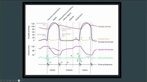 Interação Dos Fármacos No Diagrama De Wiggers Youtube