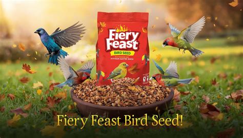 How To Choose Bird Seed Ultimate Guide For Happy Wild Birds Birds